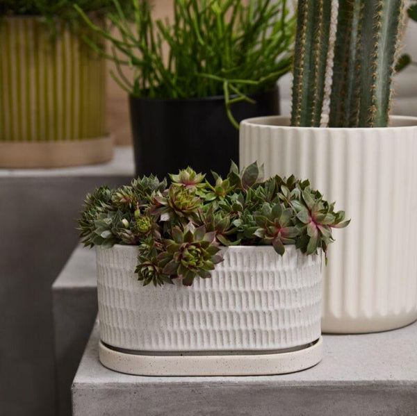 Zelle Planter - 8" (white) – Peace, Love & Happiness Club